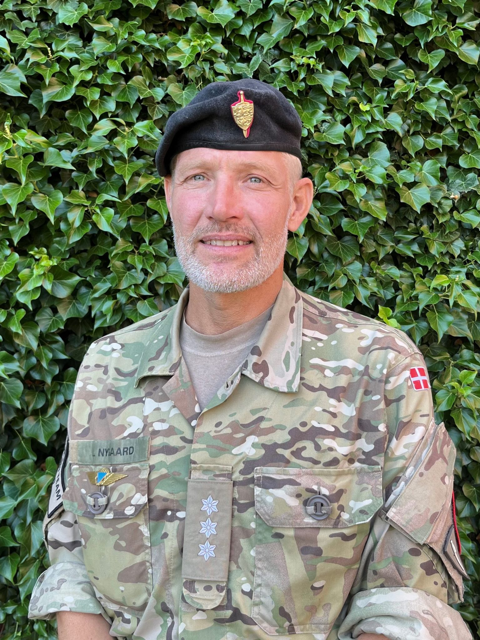 Region Syddanmark - InterForce