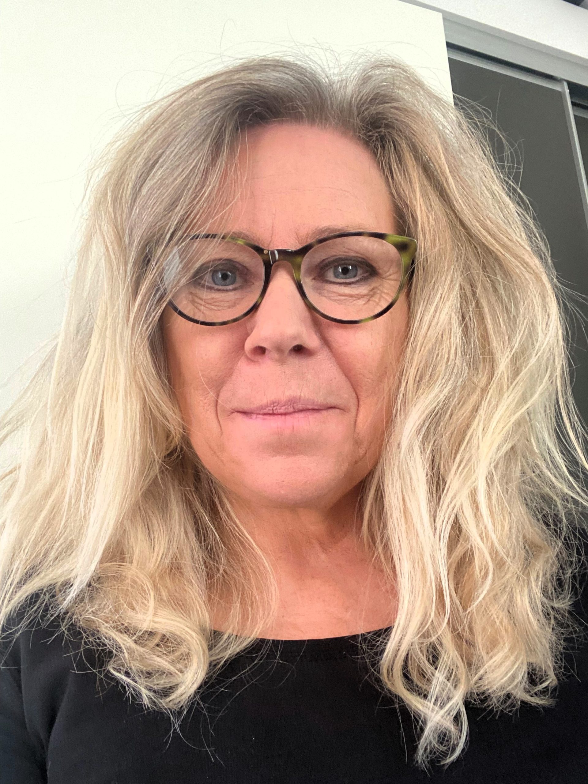 Region Hovedstaden - InterForce